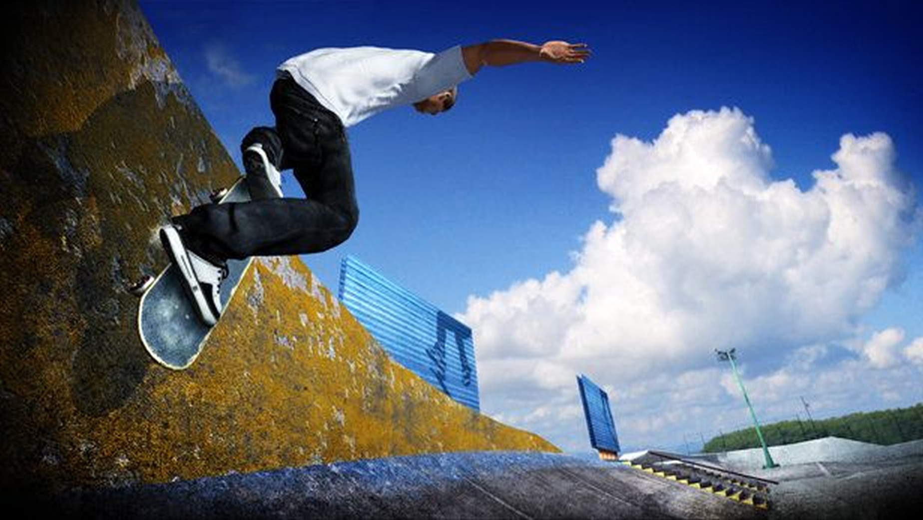 The Enduring Beauty of Skate.